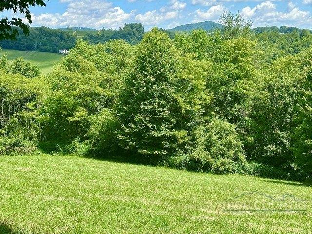 Pinnacle Ridge Rd, Jefferson, NC 28640