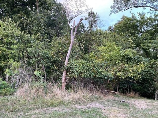 Pinnell St, Cottageville, WV 25239