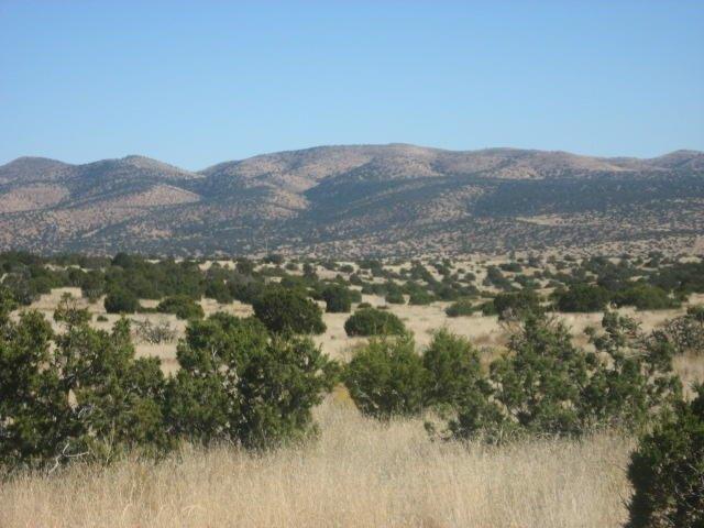 Pinon Springs Rnch Lot 188, Magdalena, NM 87825