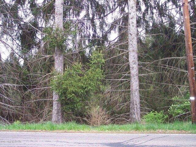Pioneer Ave Lot,shavertown, Plot For Sale