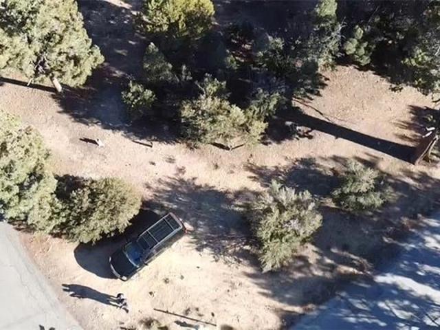 Pioneer Ln, Big Bear City, CA 92314