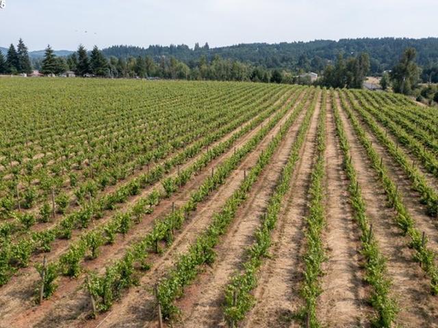 Pioneer Rd, Dallas, OR 97338