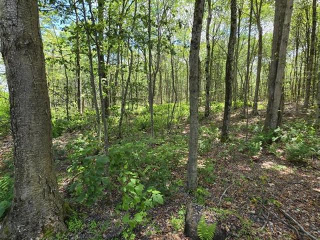 Pioneer Trl Lot 1, Muncy Valley, PA 17758