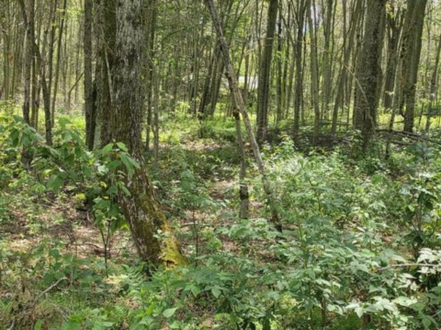 Pioneer Trl Lot 2, Muncy Valley, PA 17758