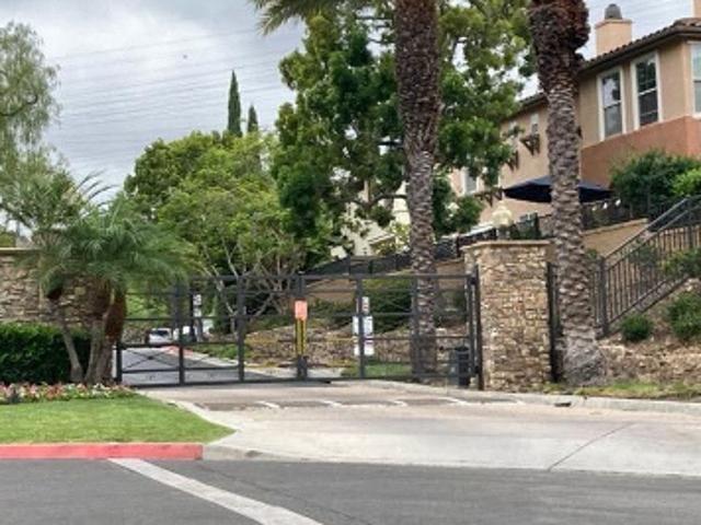 Piantino Cir
