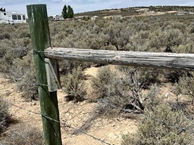 Pickering Ave, Spring Creek, NV 89815