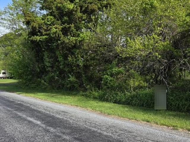 Pickering Beach Rd, Dover, DE 19901