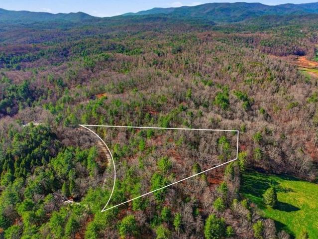 Pickett Mill Ln Lot 24, Ellijay, GA 30540