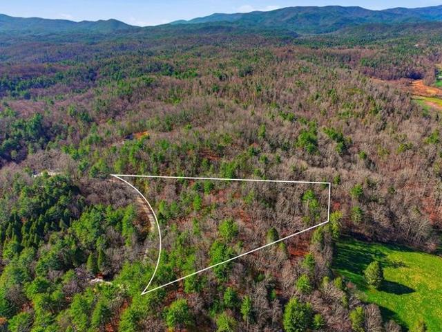 Pickett Mill Ln Lot 24, Ellijay, GA 30540