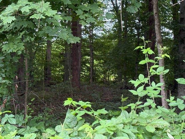 Pickett Ln Lot 11, Jamestown, KY 42629