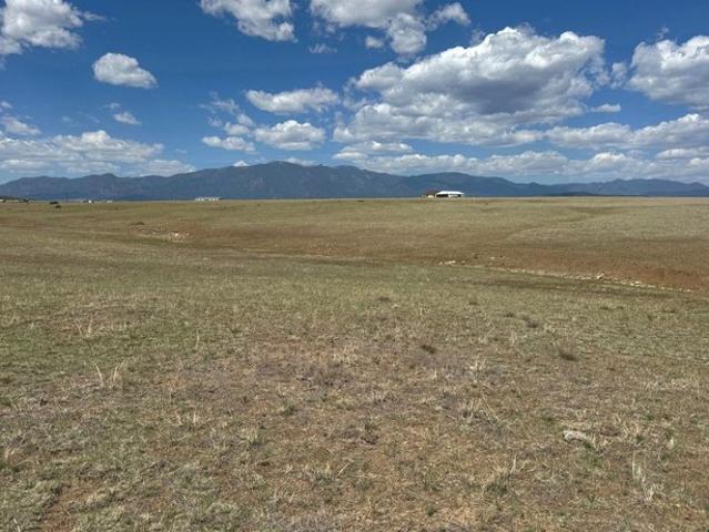 Pickney Rd Lot 13A, Rye, CO 81069