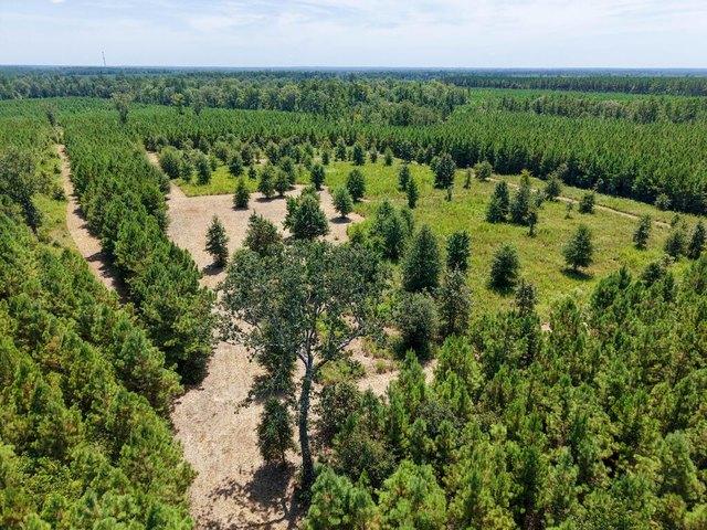 Pid 150414 Cc Rd, Diboll, TX 75941