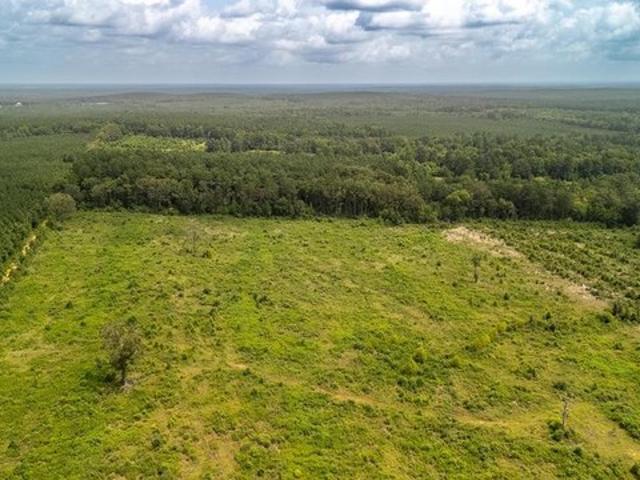 Pid County Road 4686 # R12191, Tenaha, TX 75974