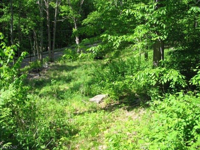 Pidgeon Hl, Wantage Township, Plot For Sale