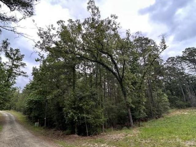Pidn 34924 Twigwood Dr, Brookeland, TX 75931
