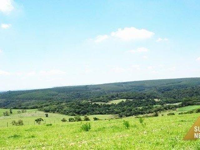 SITIO 37 ALQ. PARA PECUÁRIA – SALTO DE PIRAPORA