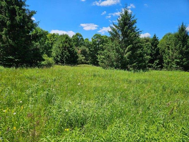 Pierce Hill Rd, Franklinville, NY 14737
