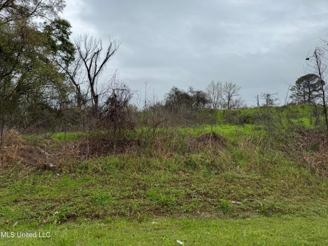 Pierce Street, Yazoo City, MS 39194