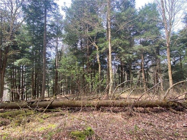 Piermott Ln Lot A, Hartwick, NY 13348