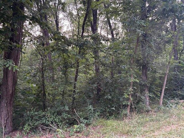Pig Rd Lot 4, Smiths Grove, KY 42171