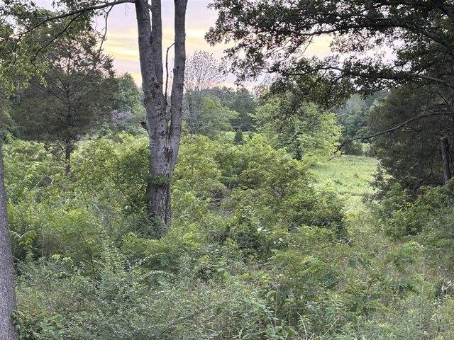 Pig Rd Lot 5, Smiths Grove, KY 42171
