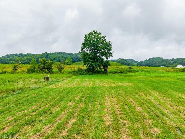 Pigeon Gap Road