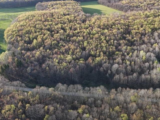 Pigeon Hill Rd, Tionesta, PA 16353