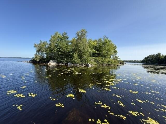 Pike Is Lot,meddybemps, Plot For Sale