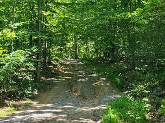 Pike Rd