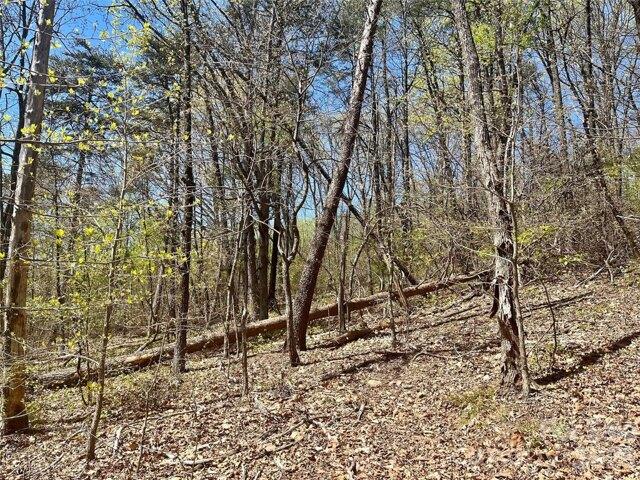 Pilgrim Church Rd, Hiddenite, Plot For Sale