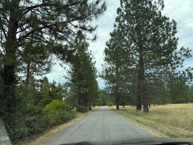 Piller Pl Unit 922, Cave Junction, OR 97523