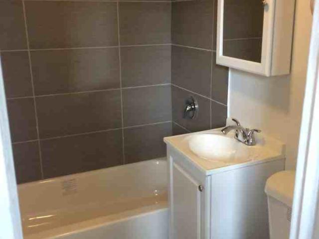 Pilsen 1642 1 Bedroom Apartment for Rent at 1642 S Allport St, Chicago, IL 60608 Lower West Side