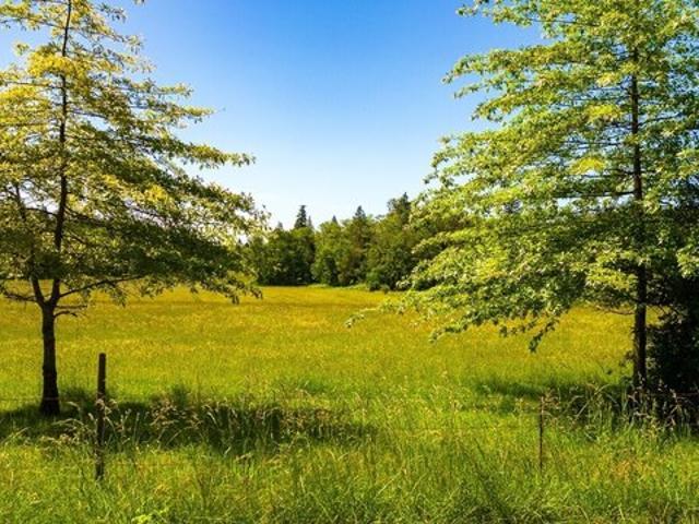 Pipeline Rd, Blaine, WA 98230