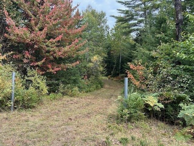 Piper Hill Rd, Colebrook, Plot For Sale