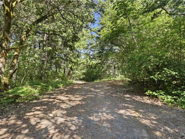 Piper rd