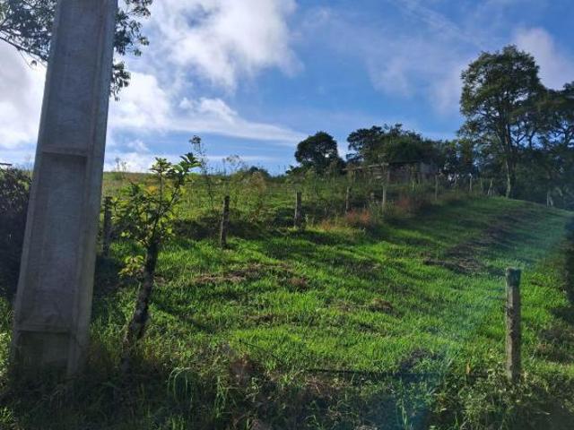 Linda Chácara em Piraquara de frente pra rua Estrada dos Macacos