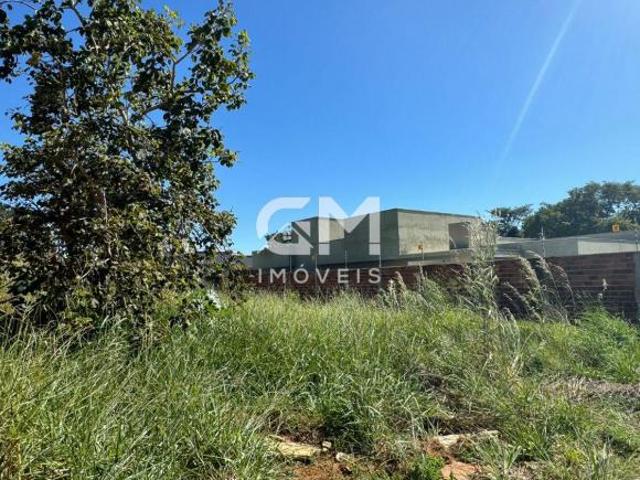 Pirenópolis / Jardim Taquaral /Murado / Lote / 450m²/ Escriturado / 61 3595 1212