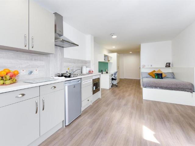 Pittodrie Street, Aberdeen AB24 Studio to rent £1,148 pcm £265 pw
