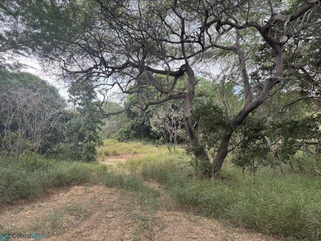 Pitahaya, Cabo Rojo, Plot For Sale