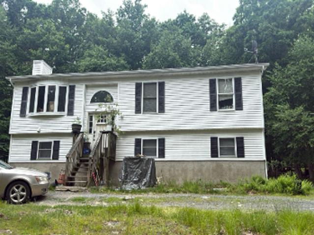 Pitch Pine Dr