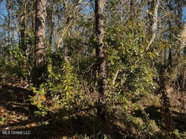 Piute Dr, Kiln, MS 39556 | MLS #4101 | Compass