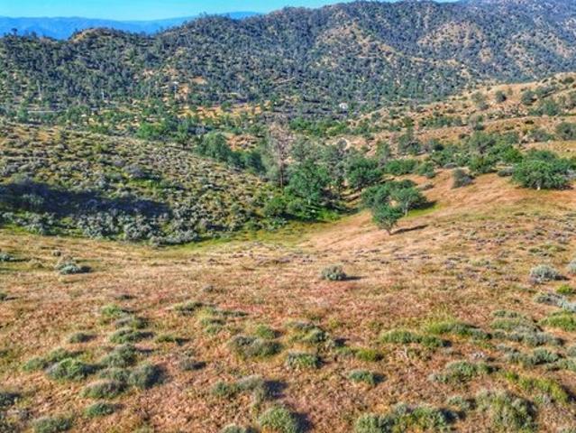 Piute Mountain Rd Lot 21, Caliente, CA 93518