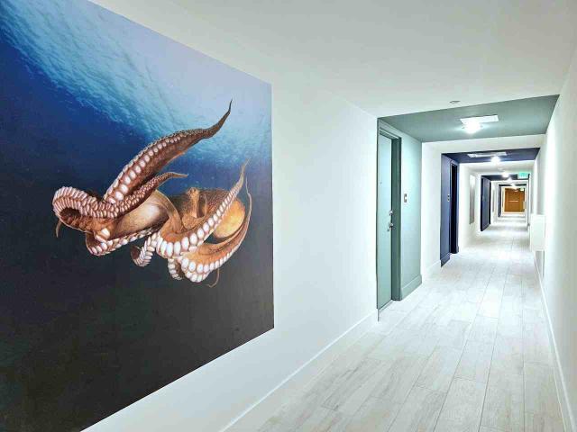 Pixl Studio Apartment for Rent at 4400 W Sunrise Blvd, Plantation, FL 33313