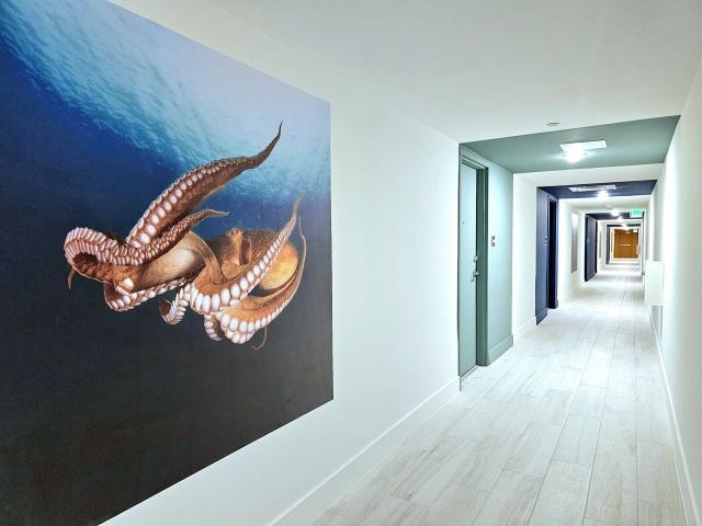 Pixl 1 Bedroom Apartment for Rent at 4400 W Sunrise Blvd, Plantation, FL 33313