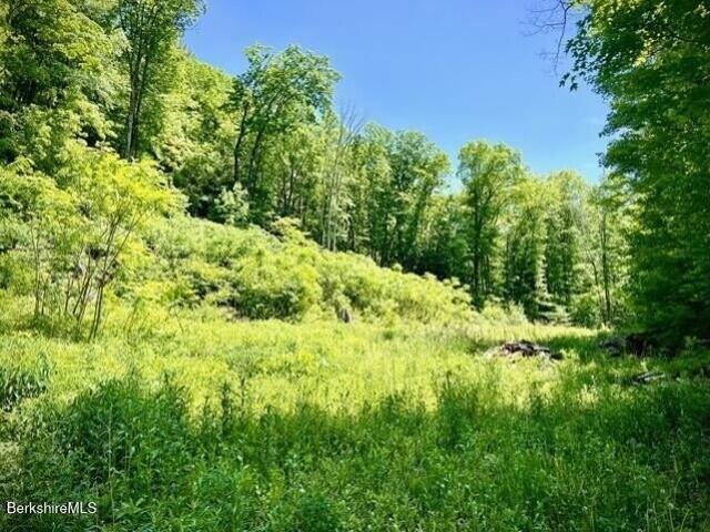 Pixley Hill Rd, West Stockbridge, Plot For Sale