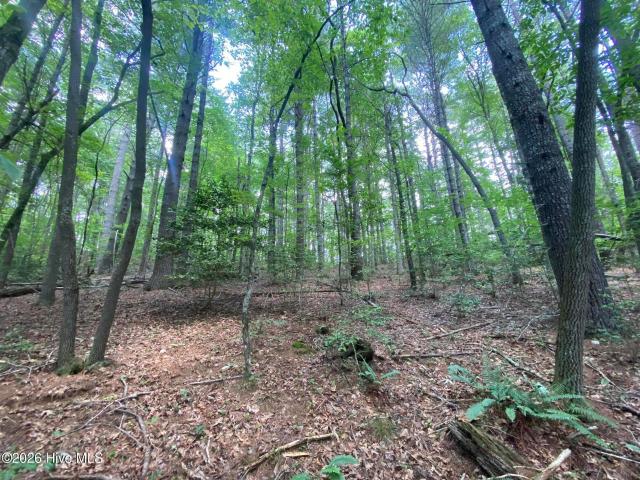 P/O 2340 Candy Mountain Road