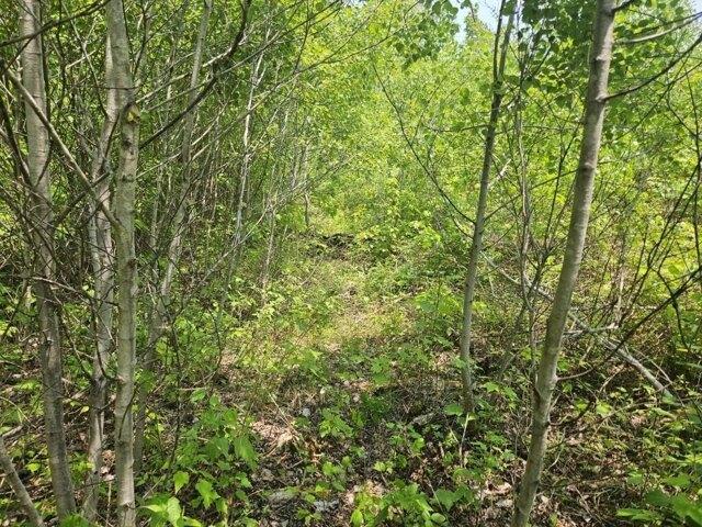 P/o Hudson Rd, Hudson, Plot For Sale