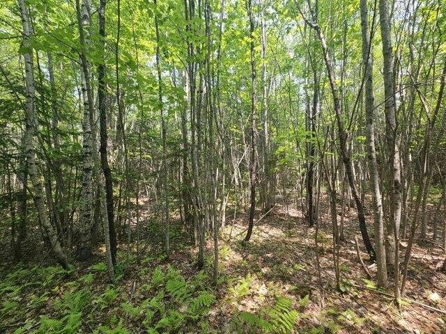 P/o Hudson Rd, Hudson, Plot For Sale