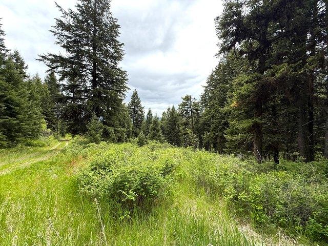 Pontiac Ridge Rd, Oroville, WA 98844