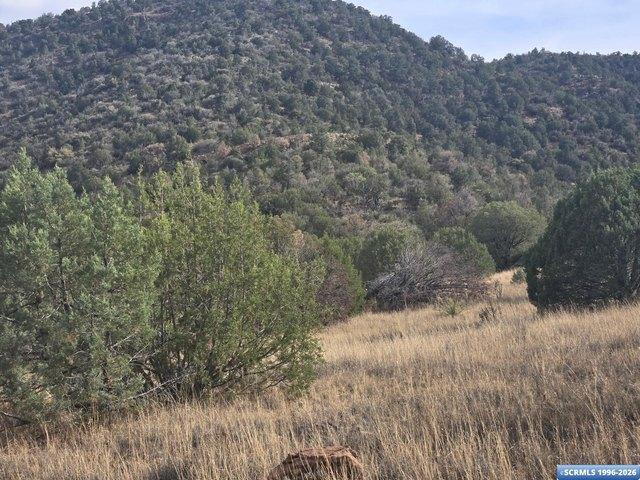 Poncho Rd, Mimbres, NM 88061